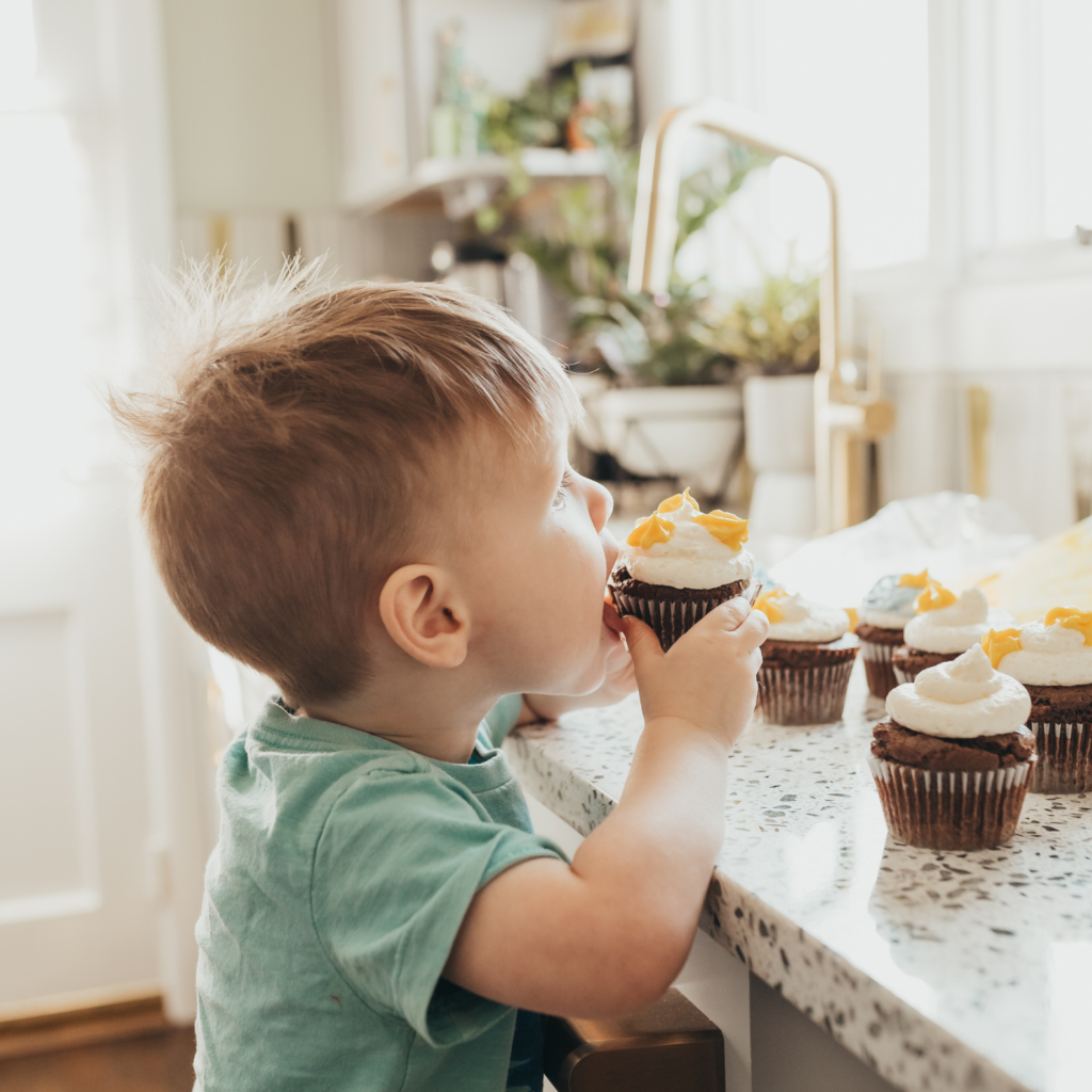 Chocolate Cake Mix – Kate's Safe & Sweet